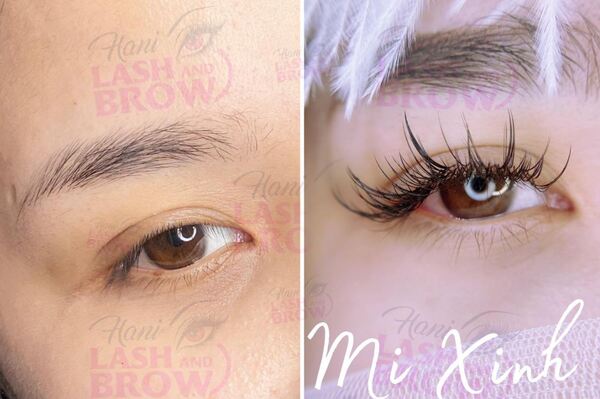 Sưu tầm những hình ảnh nối mi đẹp và quyến rũ